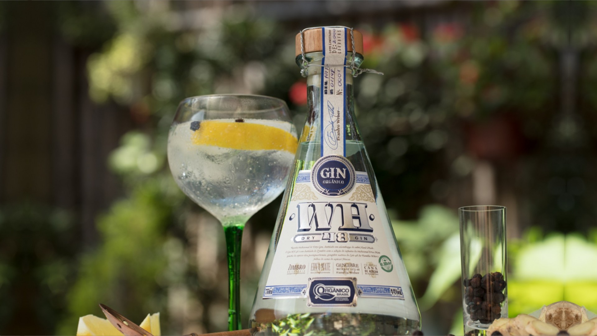 Projeto Gin WH 48